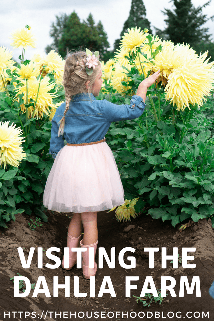 Visiting the Dahlia Farm - The House of Hood Blog