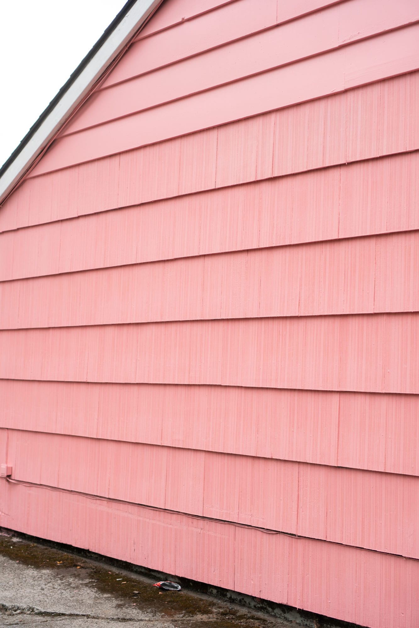 The Best Pink Walls in Portland OregonDSC03371 - The House of Hood Blog