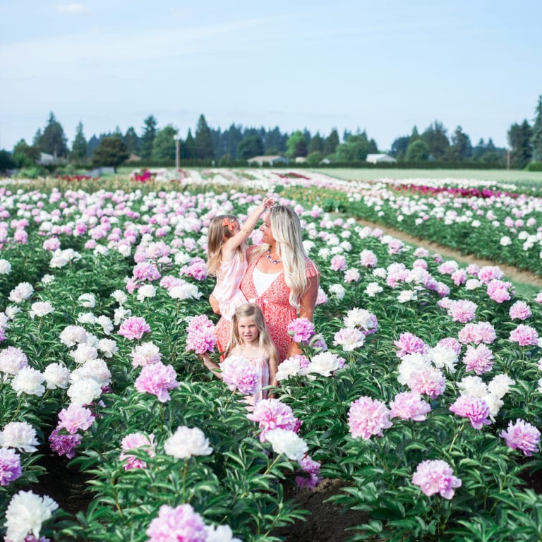 Visiting the Oregon Peony Flower Fields