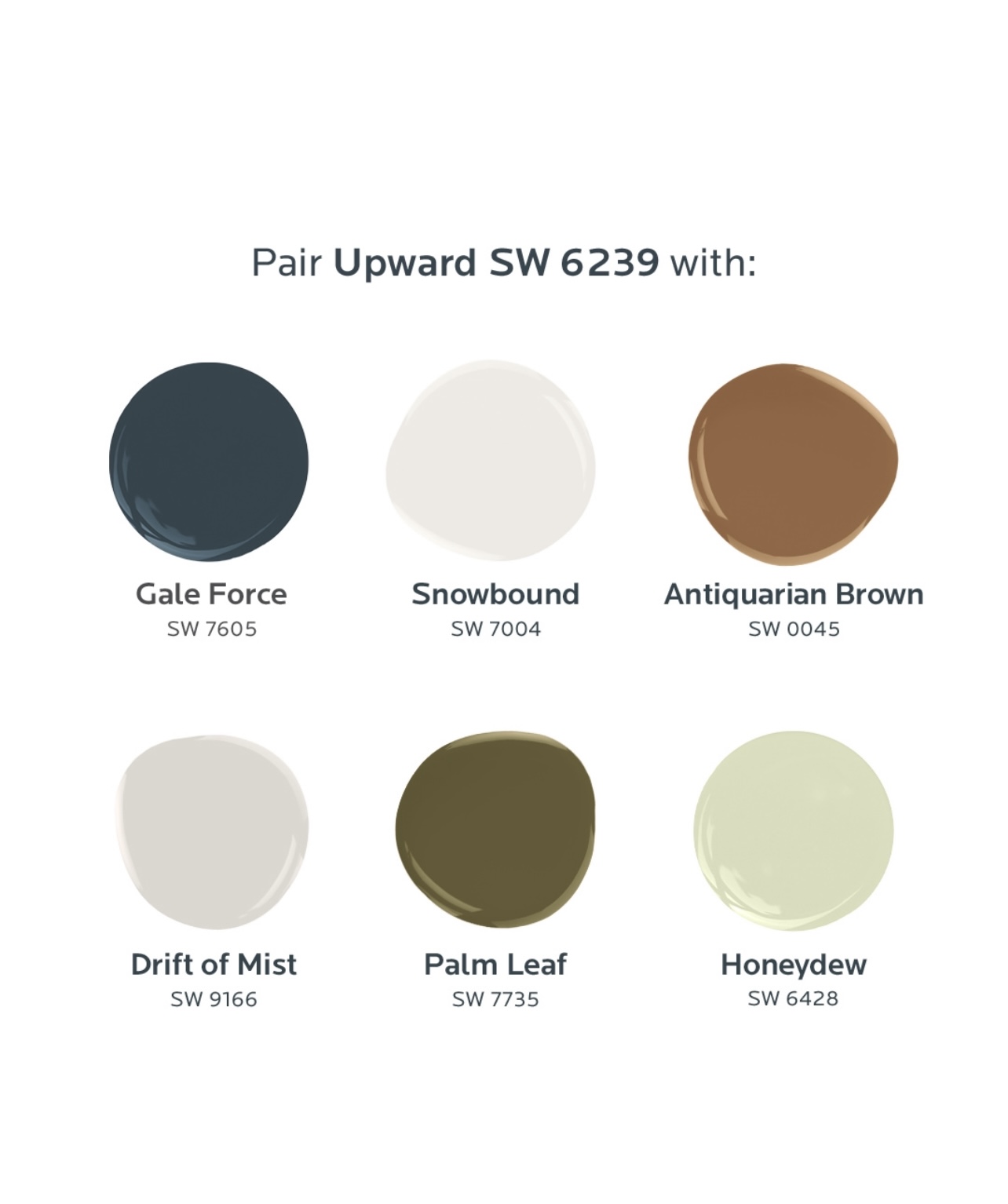 Coastal Blue Paint - Sherwin Williams Upward Paint Review