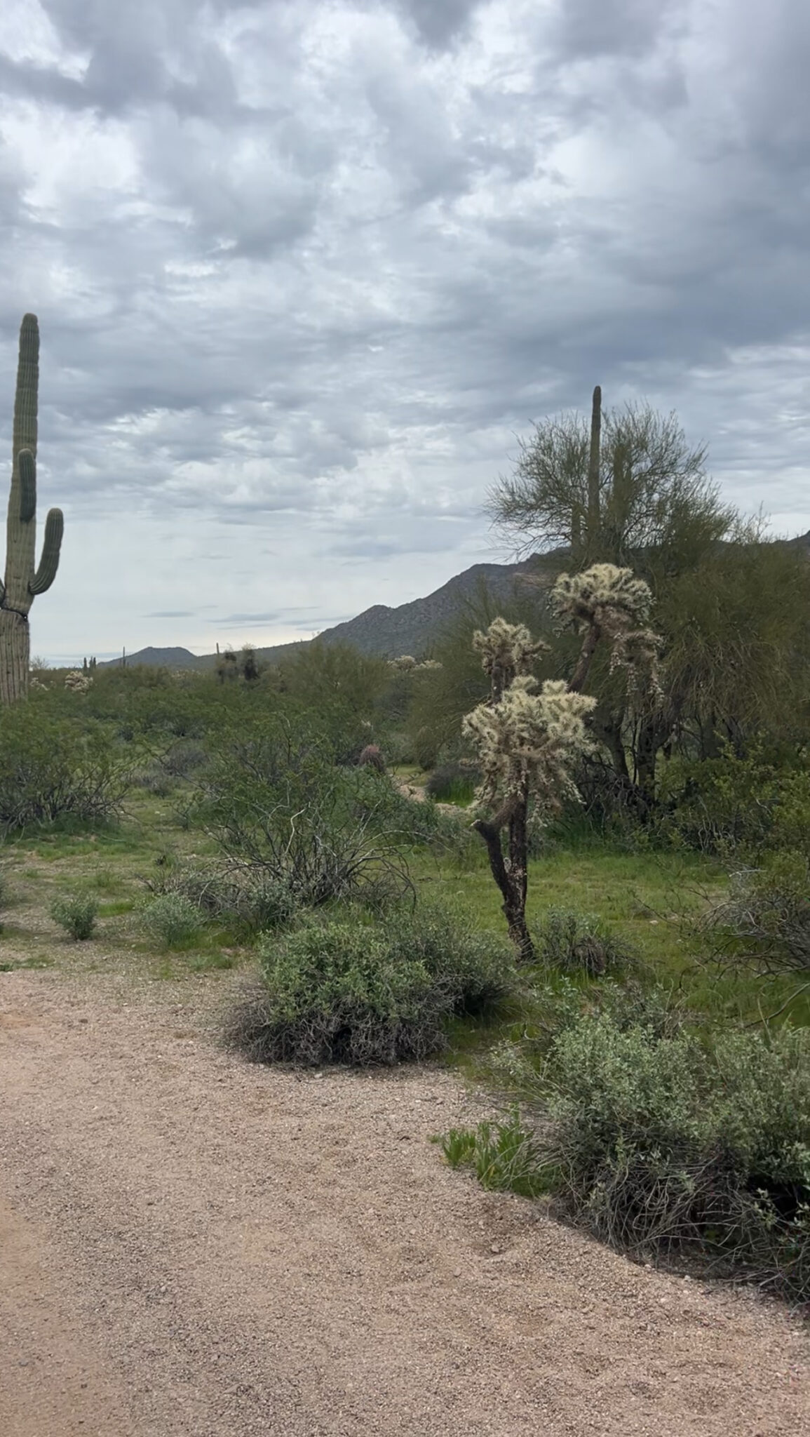 Hikes in the East Valley of Phoenix and What to Wear to Stay Cool!