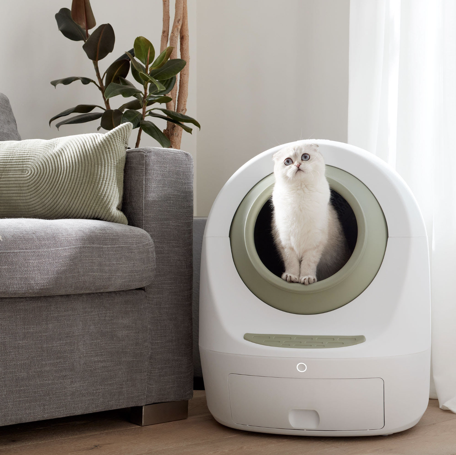 Leo's Loo Too Review - You Will Love This Automatic Litter Box ...